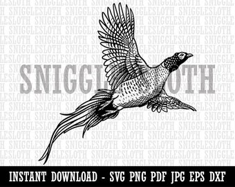 Flying Pheasant Svg - Etsy