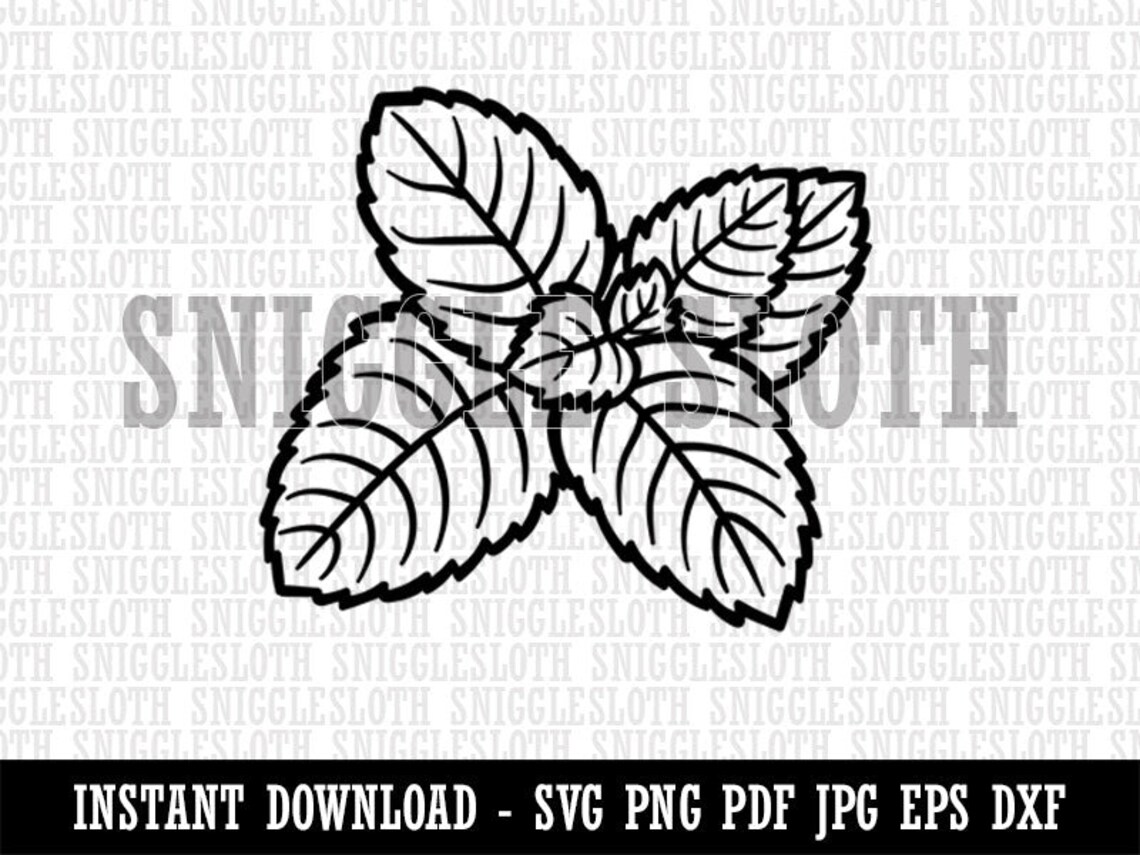 Mint Herb Plant Clipart Instant Digital Download SVG EPS PNG | Etsy