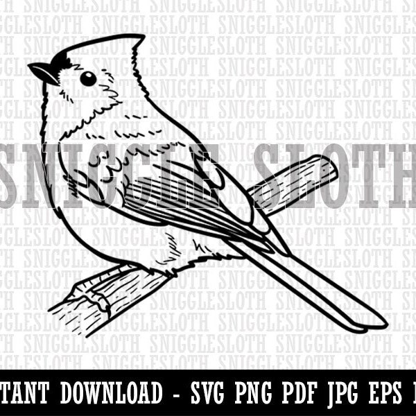 Perky Tits Etsy