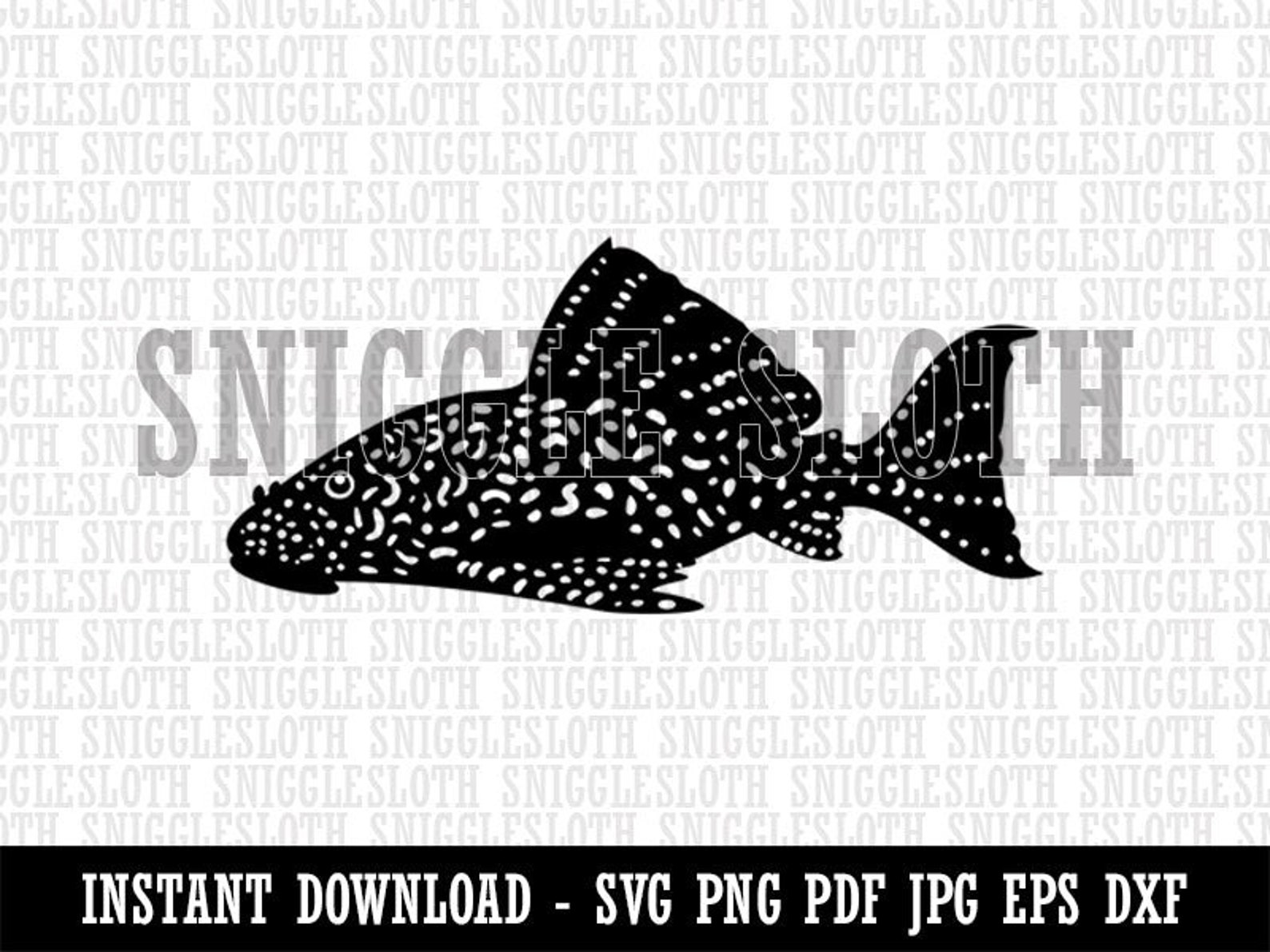 Plecostomus Algae Eating Aquarium Fish Clipart Instant Digital - Etsy