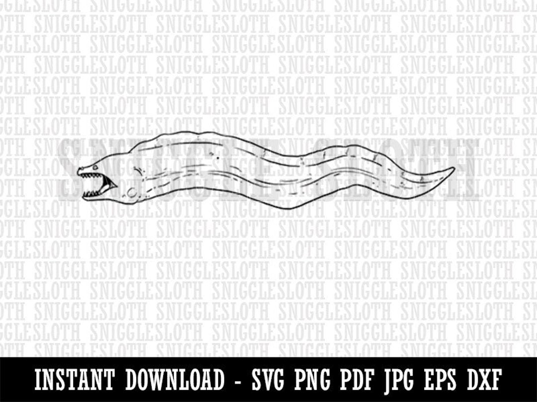 Moray Eel Creepy Ocean Creature Clipart Instant Digital - Etsy