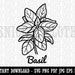 Basil Herb Label Plant Clipart Instant Digital Download SVG - Etsy