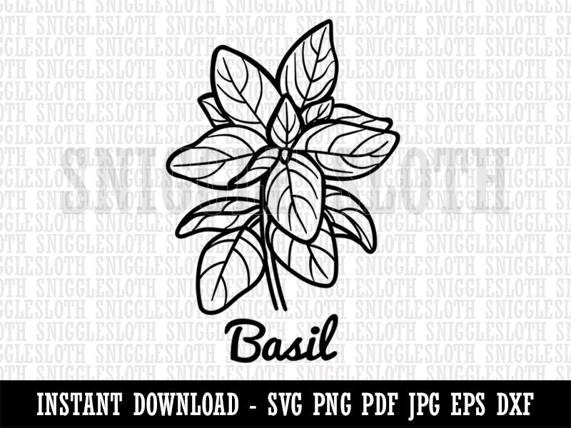 Basil Herb Label Plant Clipart Instant Digital Download SVG - Etsy