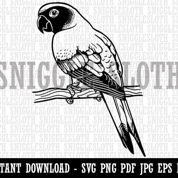 Conure Art - Etsy