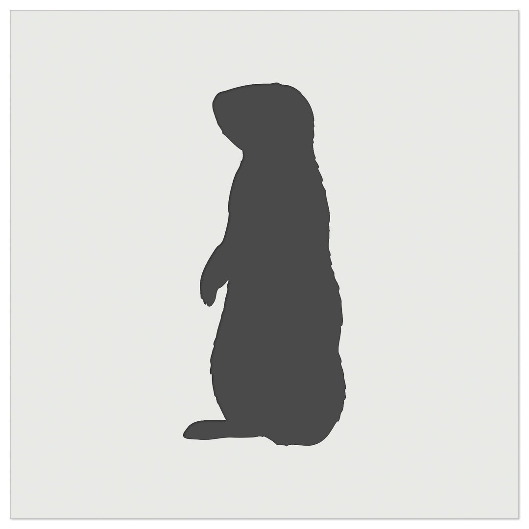 Gopher Solid Wall Cookie DIY Craft Reusable Stencil - Etsy