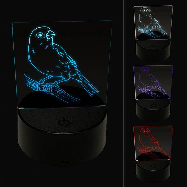 Bird Light - Etsy