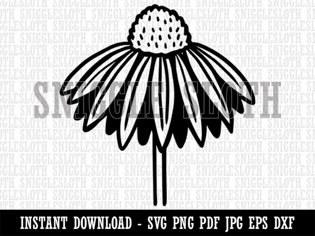 Coneflower Echinacea Clipart Instant Digital Download SVG EPS PNG pdf ...