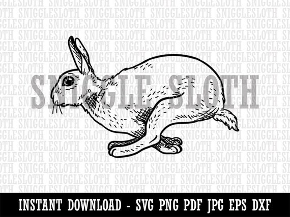 Rabbit Running Clipart