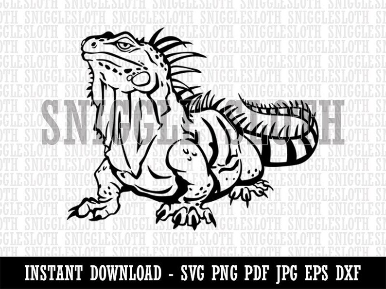 Lazy Lounging Lizard Iguana Clipart Instant Digital Download - Etsy