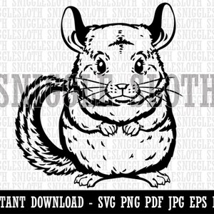 Huggable and Fluffy Chinchilla Clipart Instant Digital Download SVG EPS ...