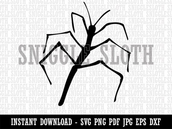 Walking Stick Insect Clip Art