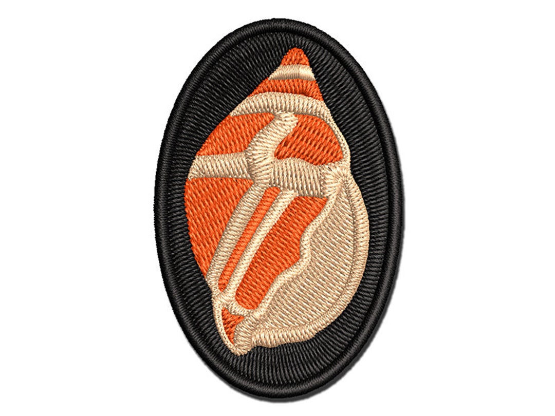 Nutmeg Shell Hashmark Shaded Beach Seashell Multi-color - Etsy