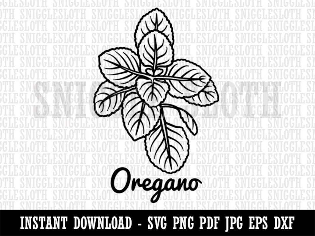 Oregano Herb Label Plant Clipart Instant Digital Download SVG - Etsy ...