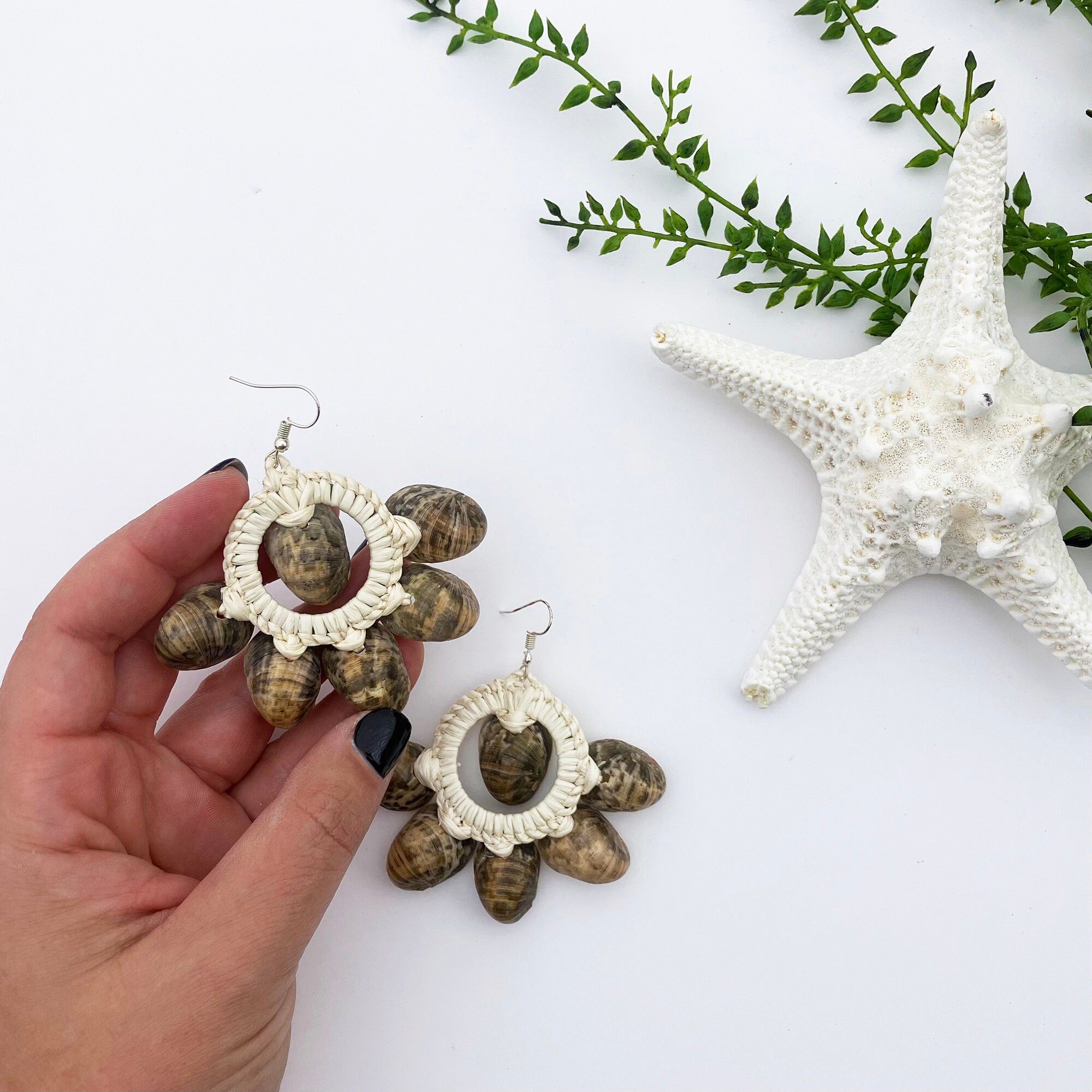 Jumbo Marshallese Earrings Bulla Gastropod Shells Handmade Micronesian ...