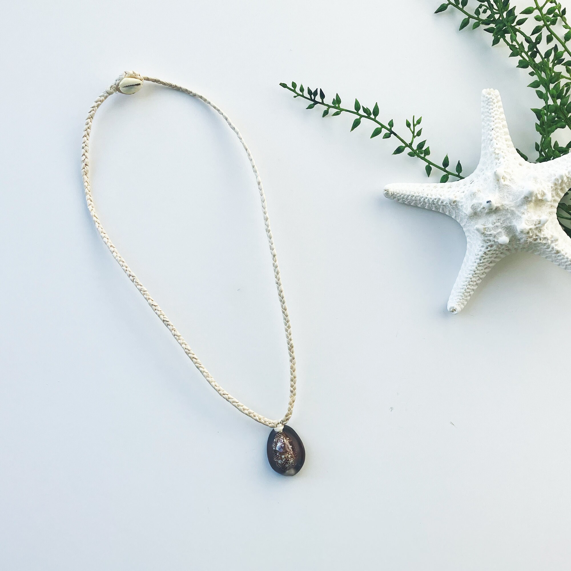 Money Cowrie Shell Pendant Necklace Micronesian Jewelry - Etsy