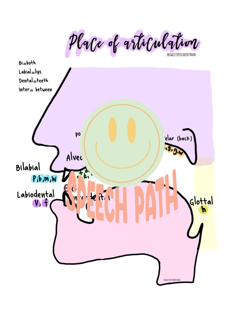 SLP Places of Articulation Diagram, Speech, Slp2b, Study Resource ...