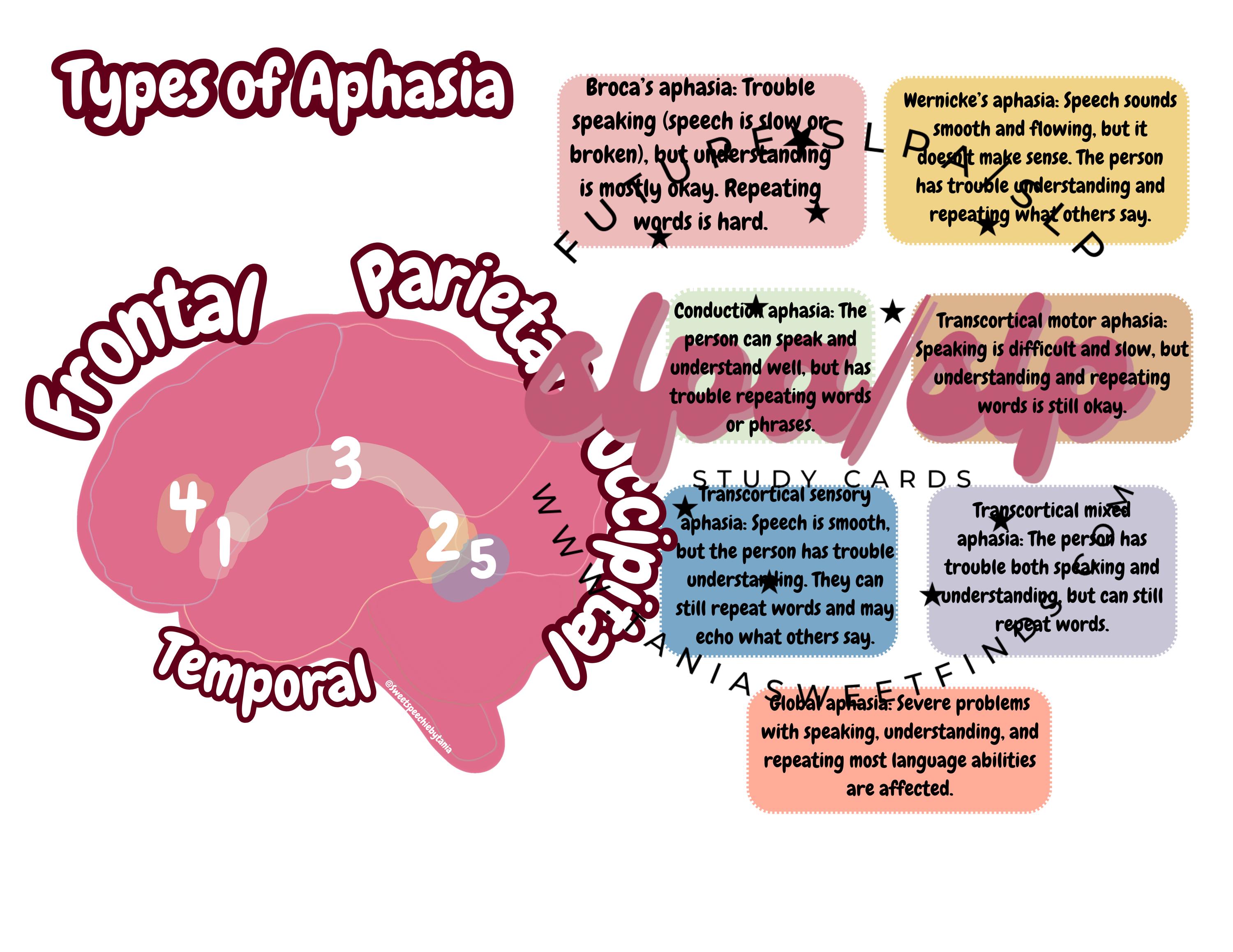 Types of Aphasia, SLP, SLPA, Study Notes, Visual Guide, Speech Therapy ...