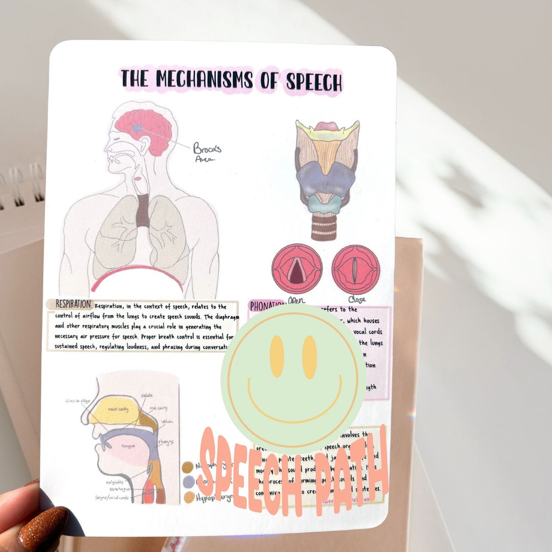 The Mechanisms of Speech, SLP, Speech Student, Gradstudent, Speech Path ...