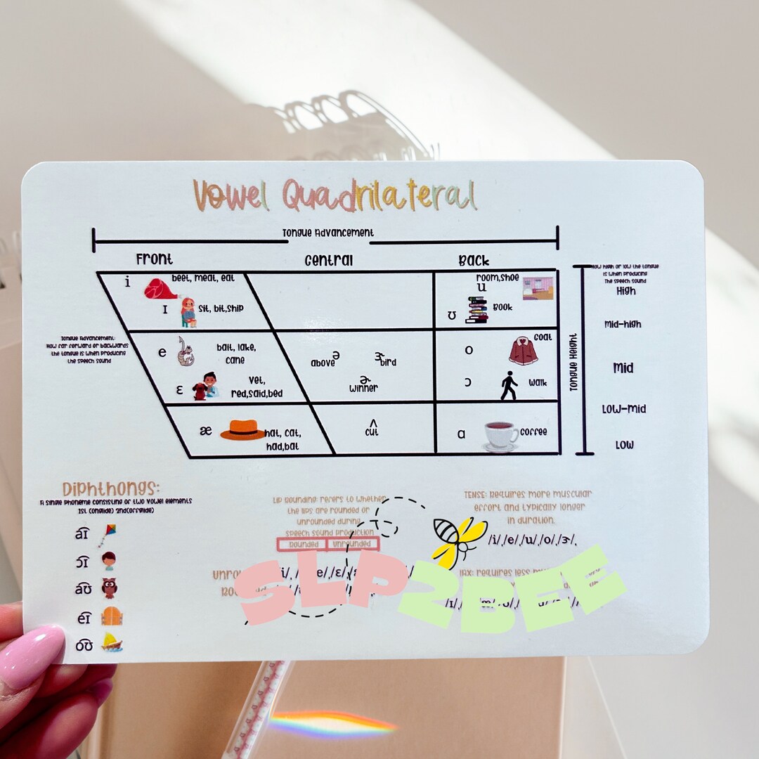 SLP Study Cards, 3 Bundle, Vowel Quadrilateral Study, Consonants ...