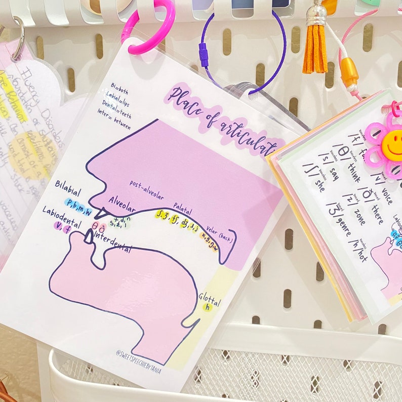 3 SLP Study Cards, Places of Articulation, Consonants, IPA Chart ...