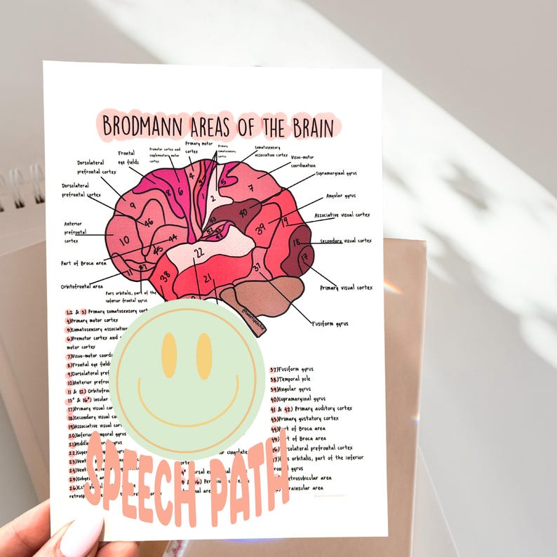 SLP Study Cards, the Brain, Cranial Nerves, Neuroanatomy, Future SLP ...