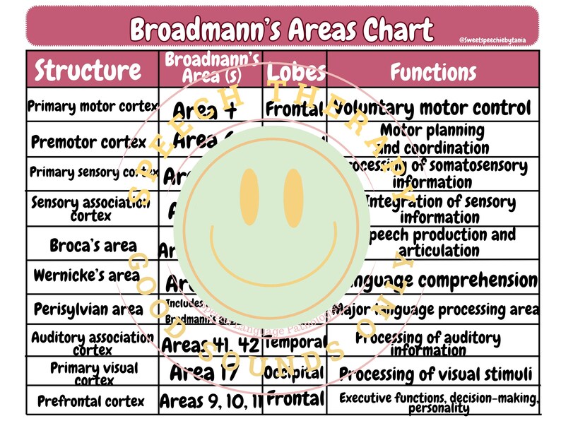 Neuro SLP Study Charts, Neuroscience, Neurology, SLP Study Notes, Slp ...