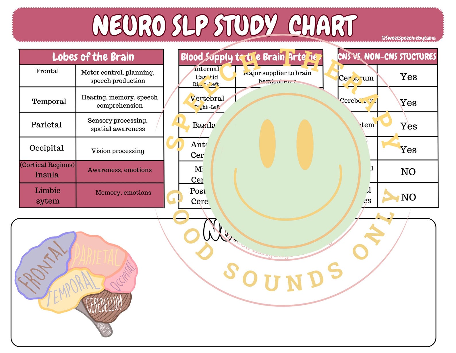 Neuro SLP Study Charts, Neuroscience, Neurology, SLP Study Notes, Slp ...