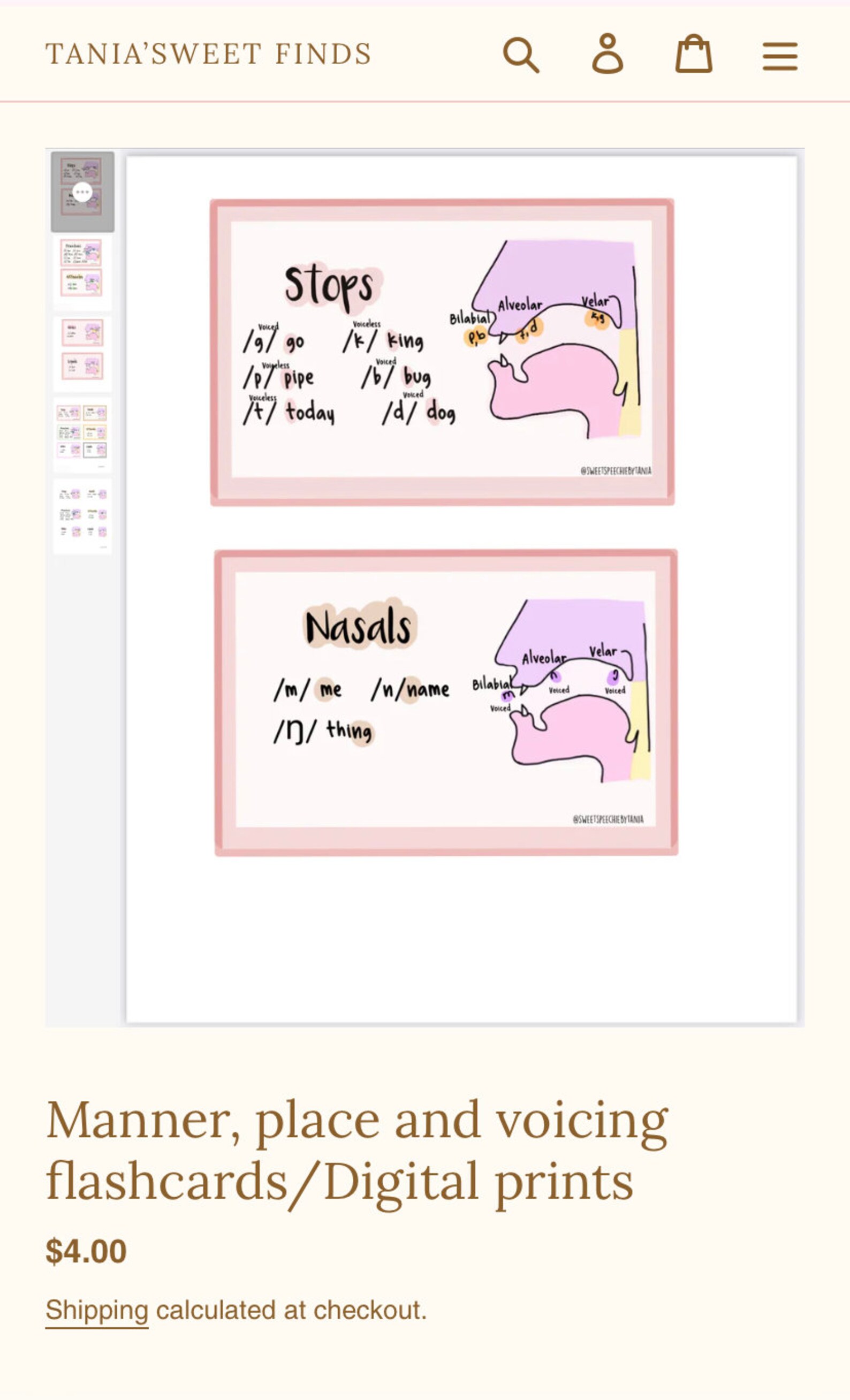 SLP Flashcards of Consonants With Drawing Slp2b Study Cards - Etsy