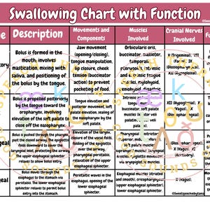 Swallowing Chart, SLP Study, Speech Therapy Tools, Study Tools, SLP2B ...