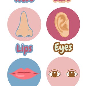 Speech Poster, Bulletin Board, in Speech We Use Our, Slp, Speech ...