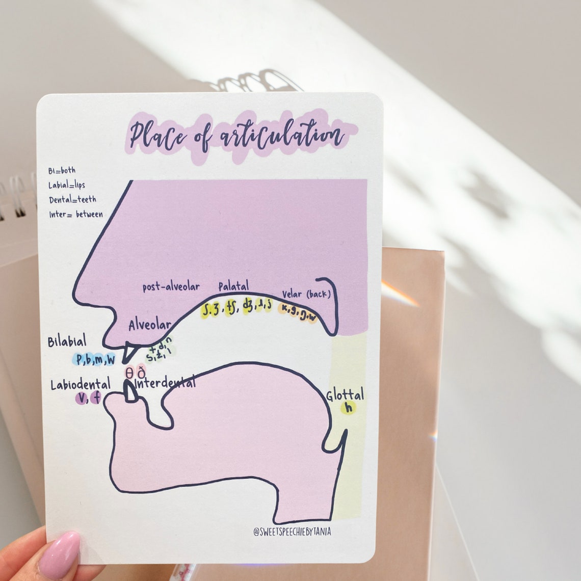 3 SLP Study Cards, Places of Articulation, Consonants, IPA Chart ...