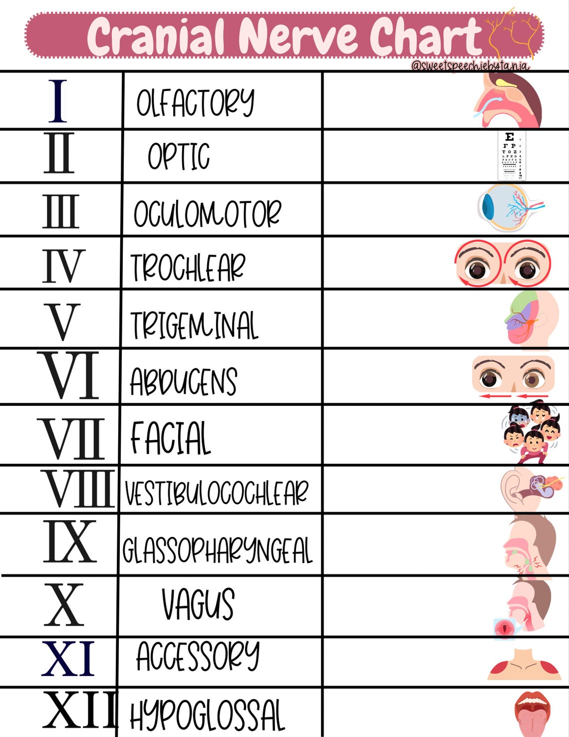 Cranial Nerve Chart, Slp, Neuroanatomy, SLP to Be, Study Cards, Brain ...