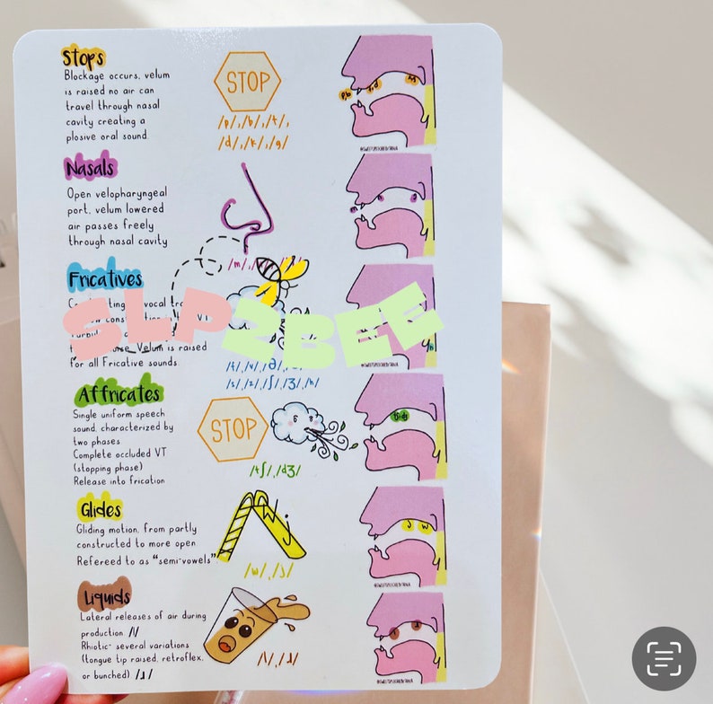 SLP Study Cards, 3 Bundle, Vowel Quadrilateral Study, Consonants ...