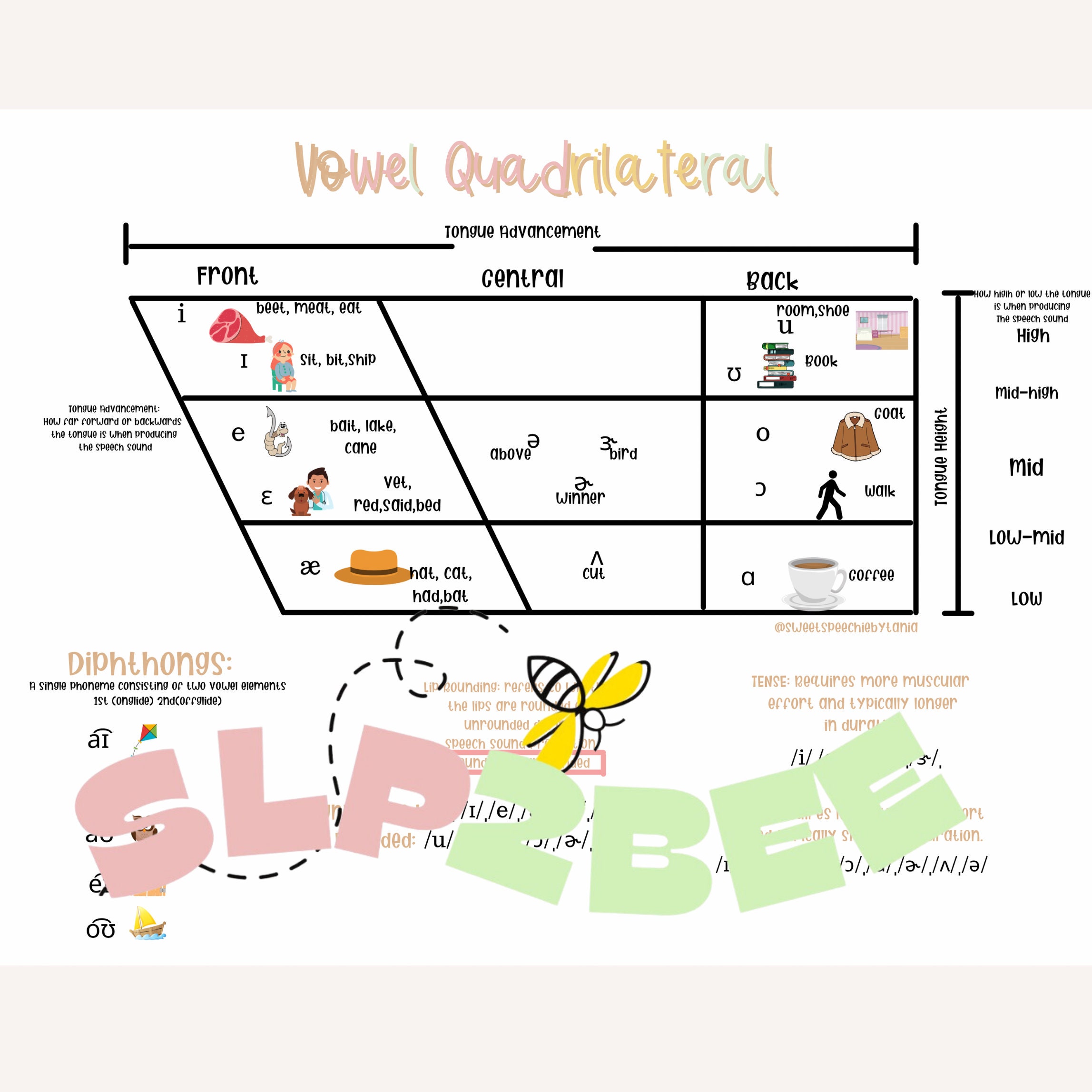 SLP Vowel Quadrilateral, Speech Student, Future Speech Pathologist ...