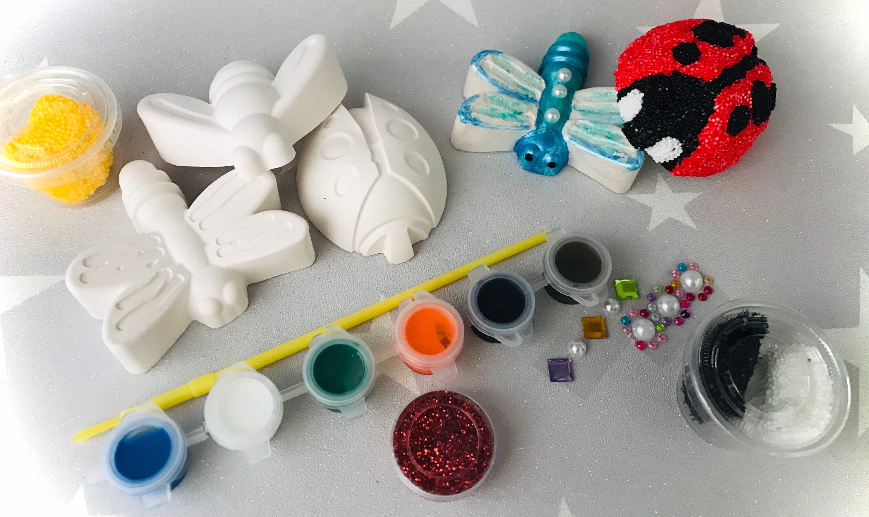 Insect Craft Kit in Organza Gift Bag-paint Craft Set-nature - Etsy