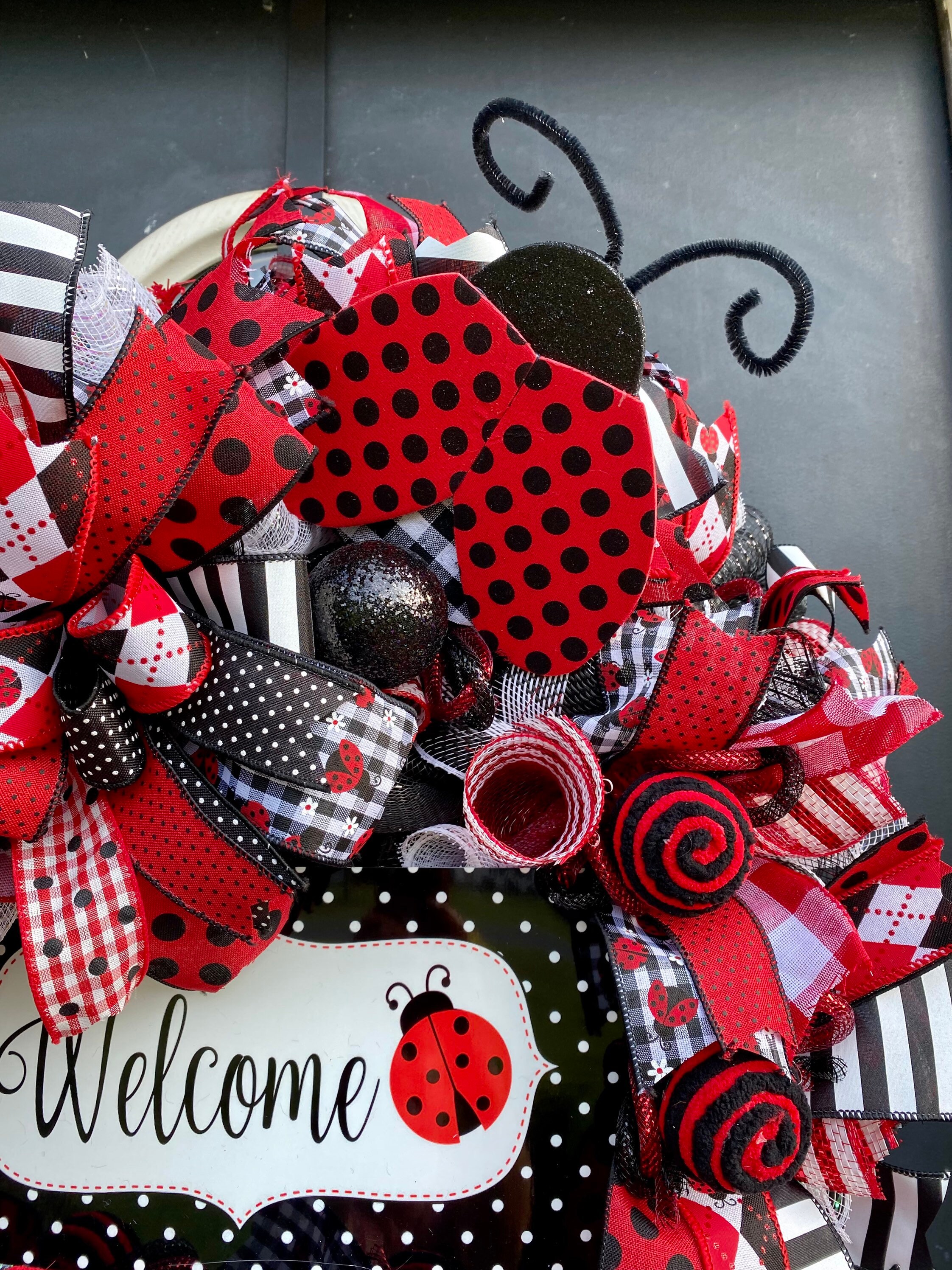 Spring door decor summer door decor ladybugs ladybug home | Etsy