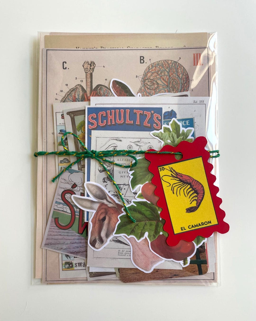 Curated Chaos Sticker Pack – Vintage Science, Nature & Surreal Ephemera ...