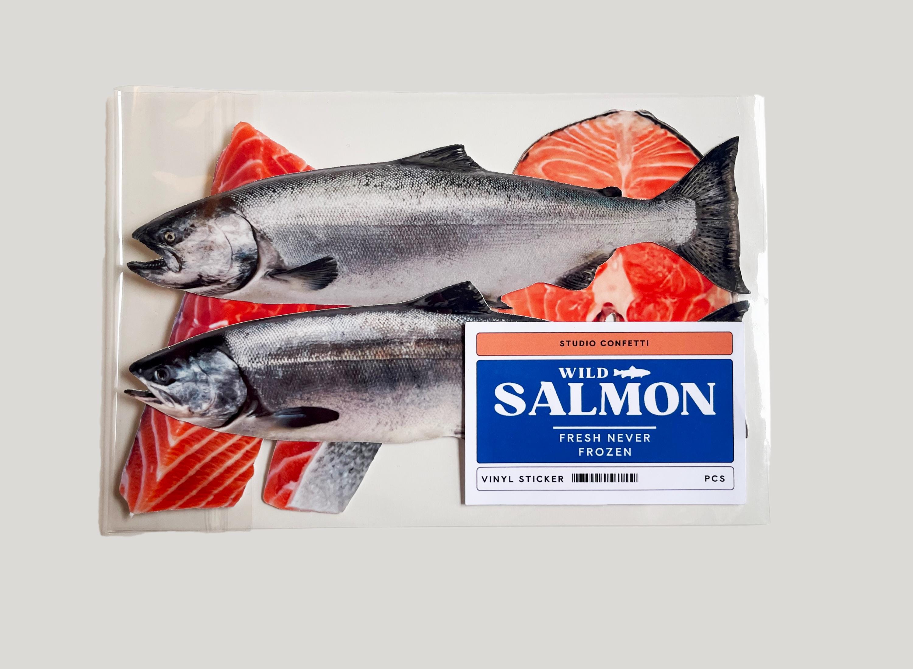 Wild Salmon Vinyl Sticker Pack – Realistic Fish Stickers for Fishing ...