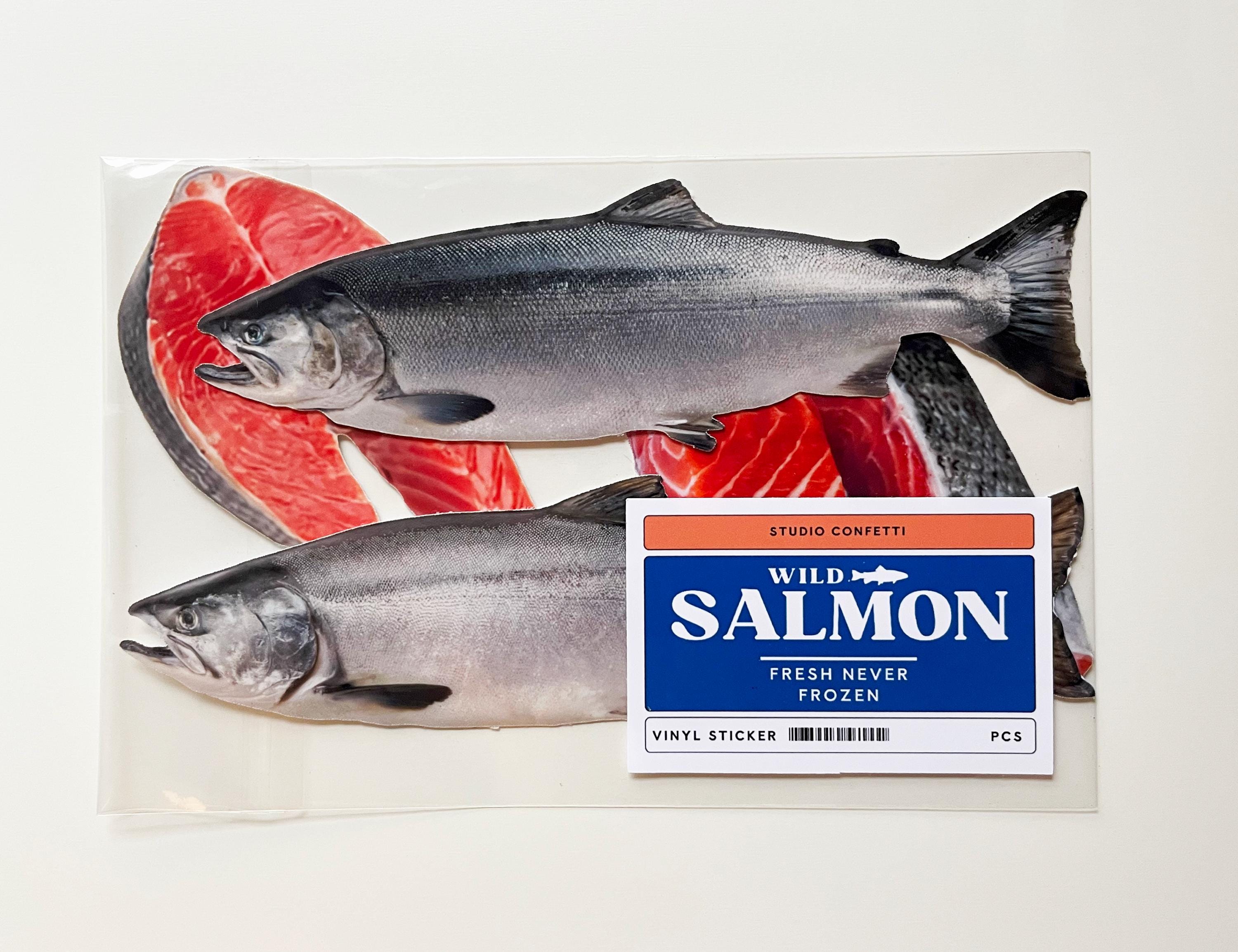 Wild Salmon Vinyl Sticker Pack – Realistic Fish Stickers for Fishing ...