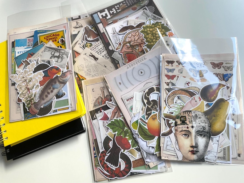 Curated Chaos Sticker Pack – Vintage Science, Nature & Surreal Ephemera ...