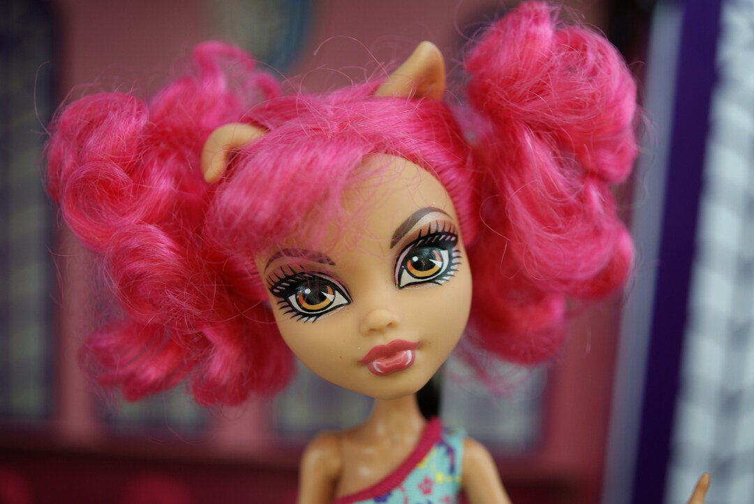 Monster High Dance Class Howleen Doll Mattel 2012 9 - Etsy