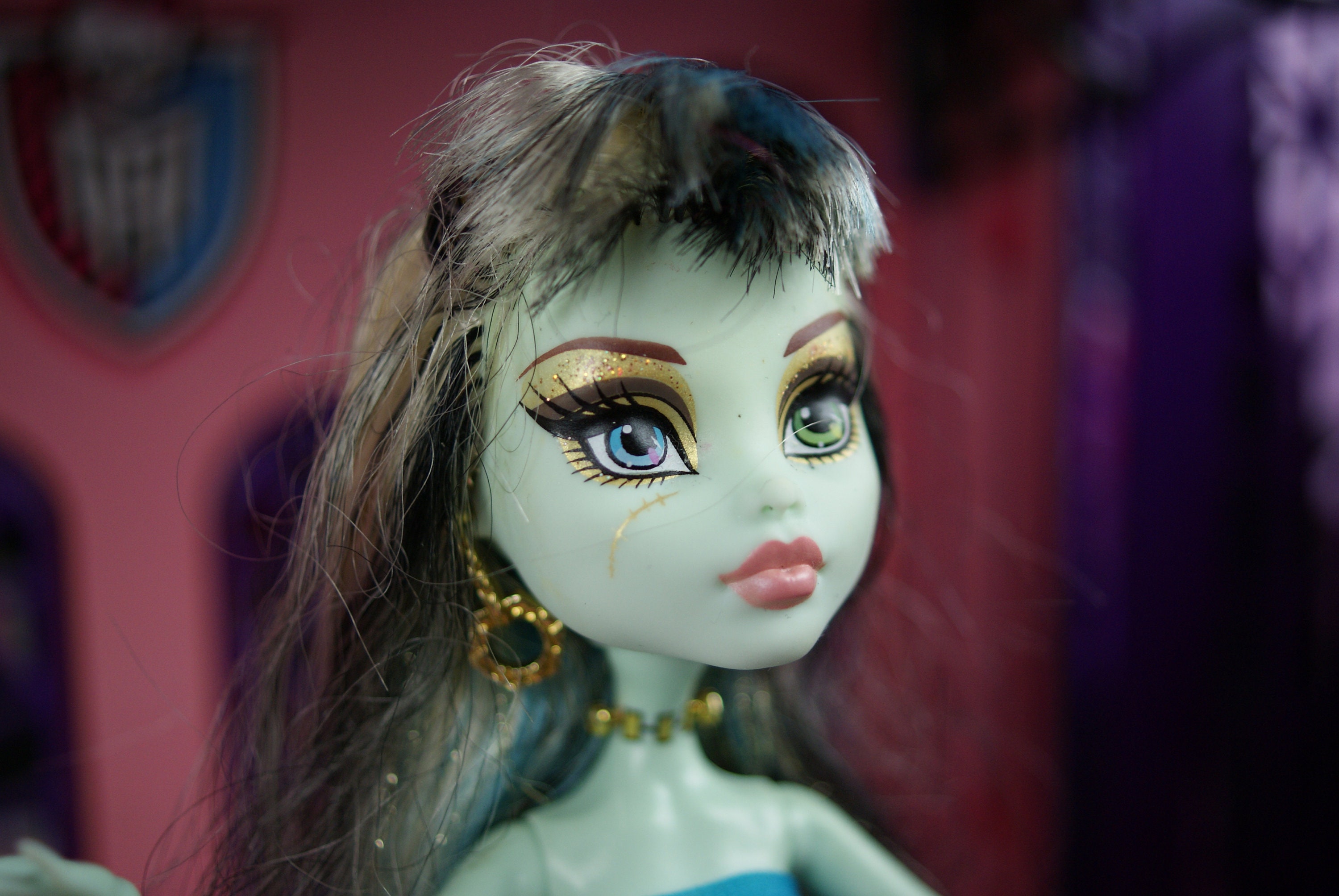 Monster High 13 Wishes Shadow Frankie