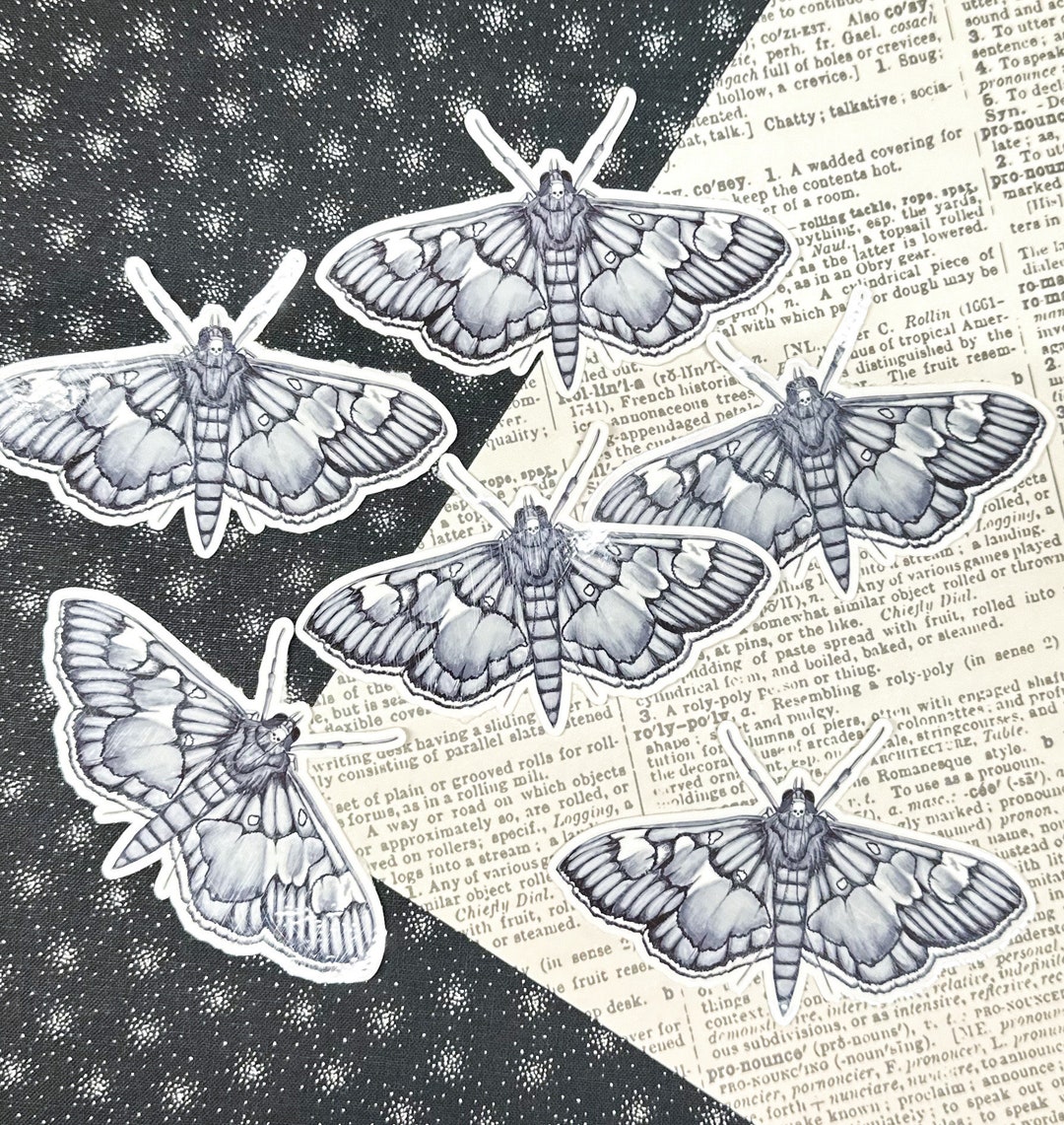 Moth Sticker, Dark Vibes, Skull Moth, Bug Sticker, Kindel Sticker ...