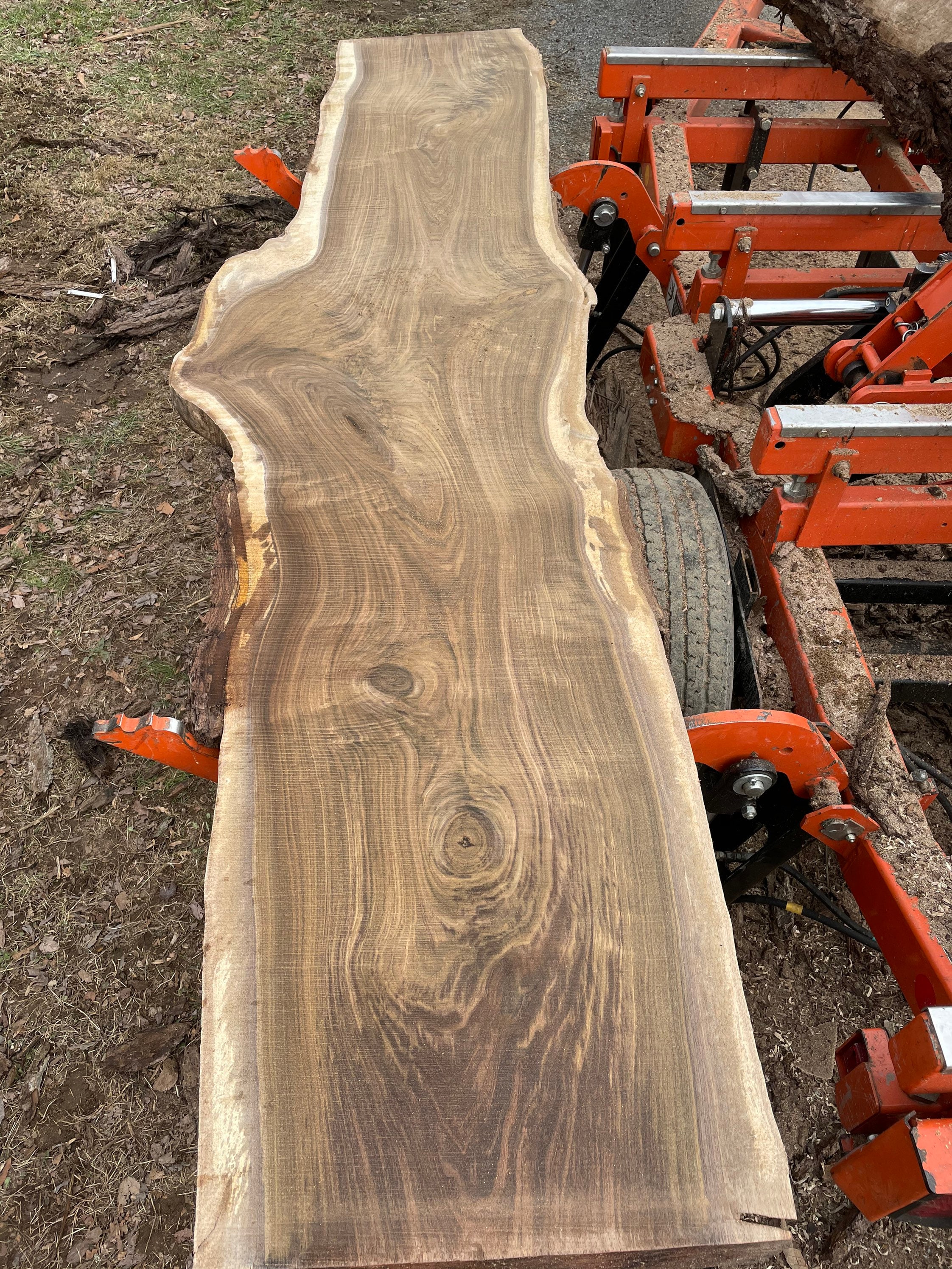 Live Edge Slabs - Etsy