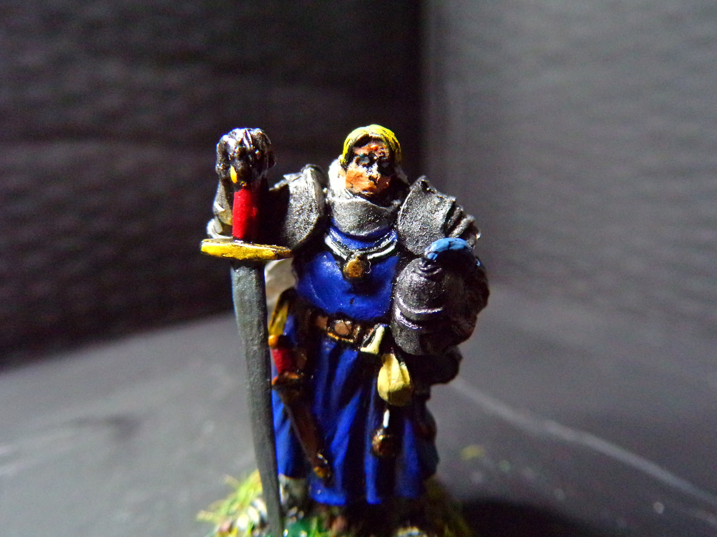 Paladin Painted Miniature, Warrior Miniature, Knight, Dungeons and ...
