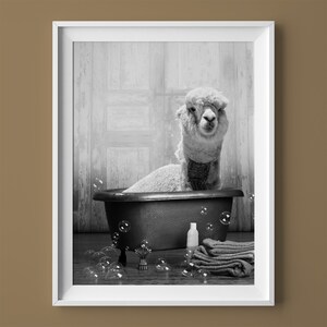 Llama Bathtub Art Print, Llama Bathing, Llama Bath Wall Art SHIPPED ...