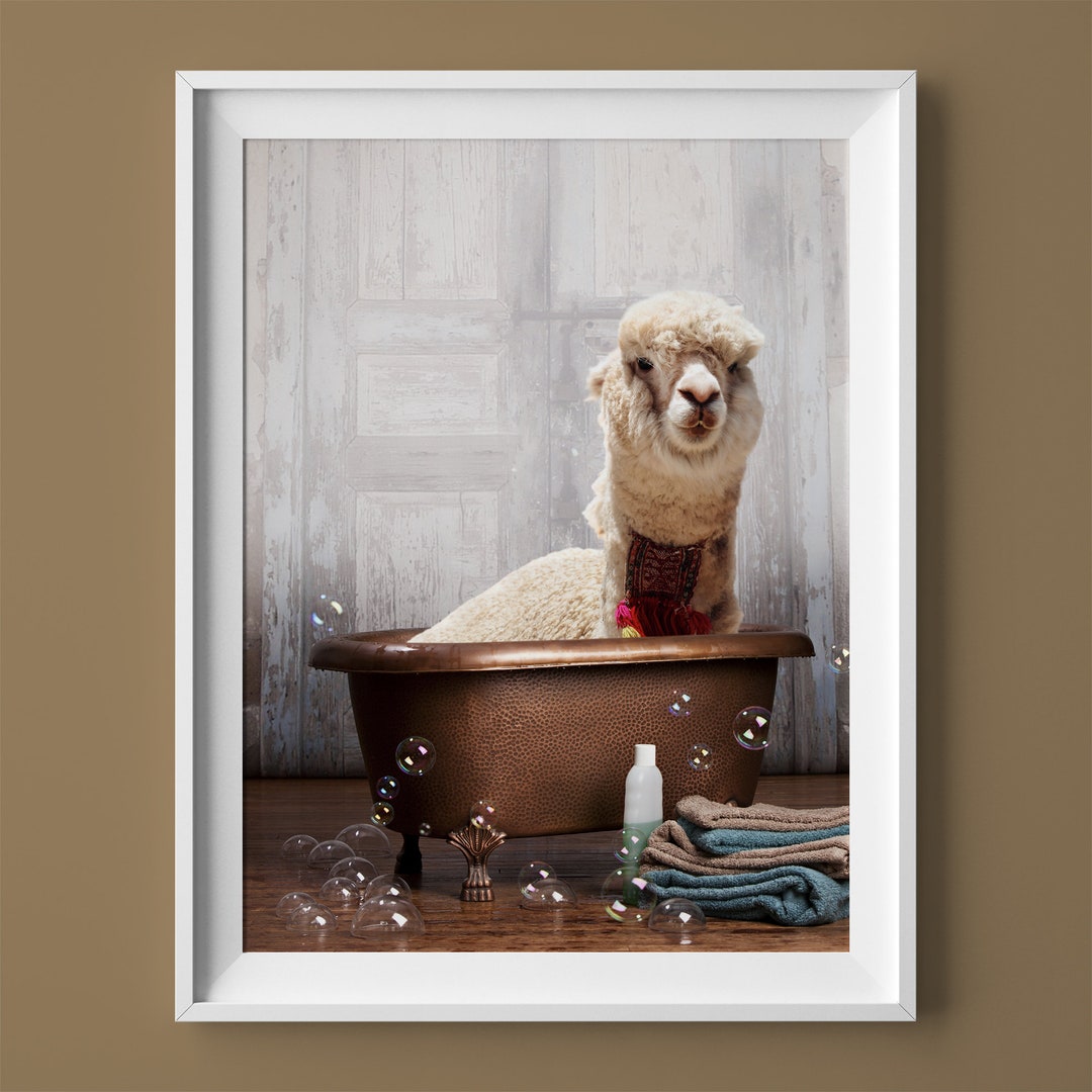 Llama Bathtub Art Print, Llama Bathing, Llama Bath Wall Art Alpaca ...