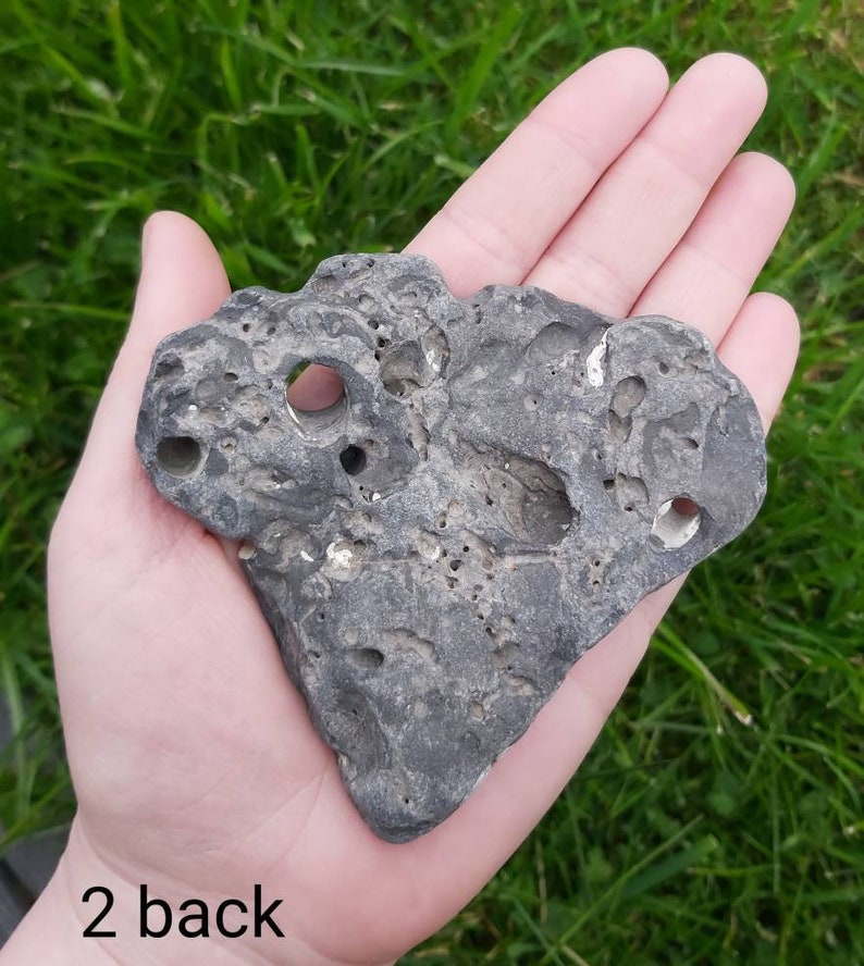 1 5 EXTRA LARGE Irish Hag Stones Choose Your Own Holey | Etsy