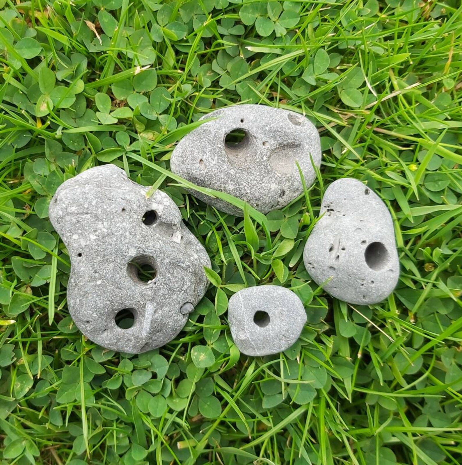 4 Irish Hag Stones mystery Pack Holey Stones - Etsy