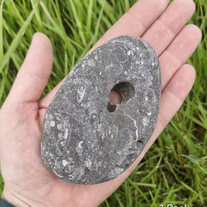 1 - 5 EXTRA LARGE Irish Hag Stones, Choose Your Own, Holey Stone, Adder ...